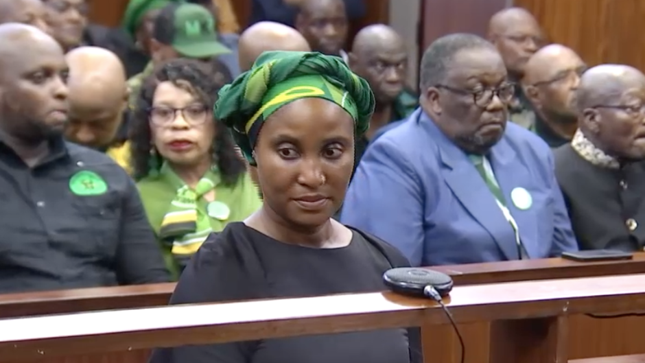 Duduzile Zuma-Sambudla’s trial begins - eNCA